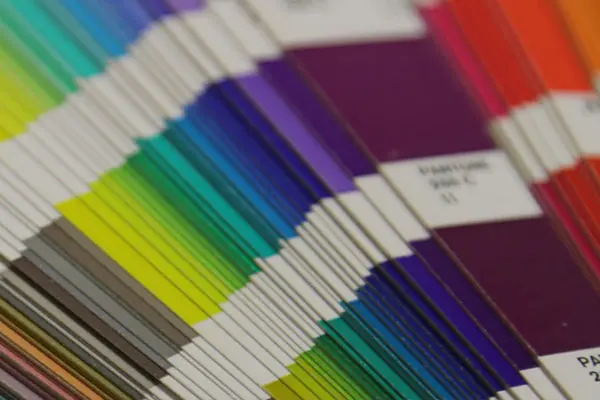 Graphic Design Career Path Options - Design Talk