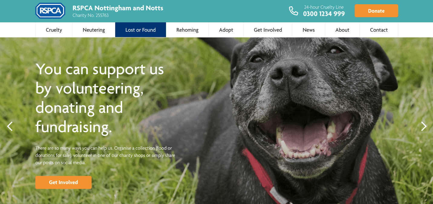 The RSPCA's New Site Gets Tails (and Tongues) Wagging - Fifteen